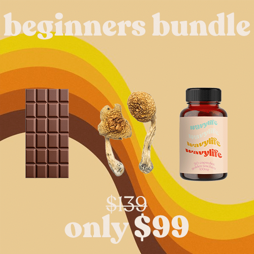 PSYCHEDELICS BUNDLE | Wavy Shrooms